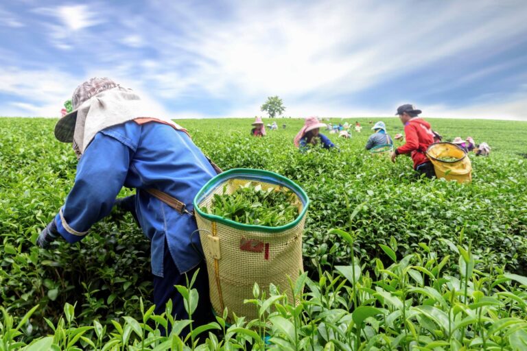 Environmental training and courses Malaysia